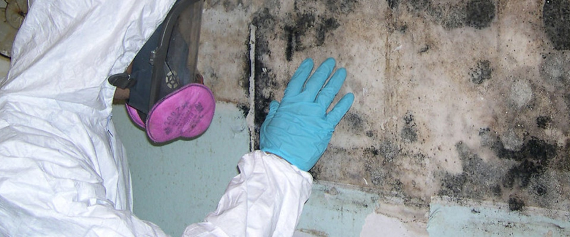 Ensuring A Strong Roof: The Role Of Mold Remediation In Philadelphia ...